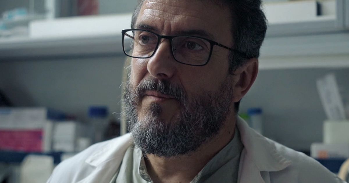 Fuera de cobertura: Un experto en envejecimiento rebate al inmortalista ...