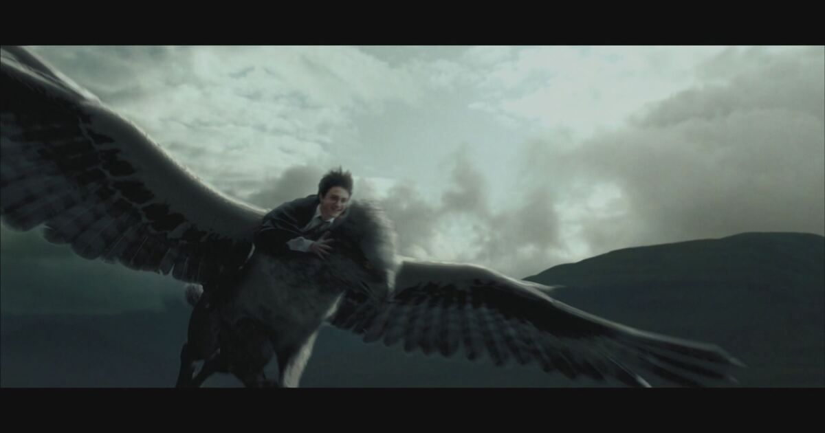 Harry Potter e Fierobecco: un volo speciale | Mediaset Infinity