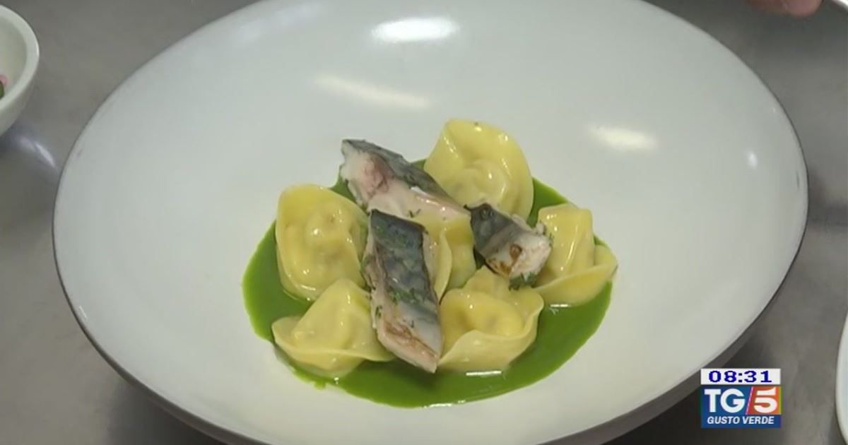 TG5: Gusto Verde: tortelli con lo sgombro Video | Mediaset Infinity
