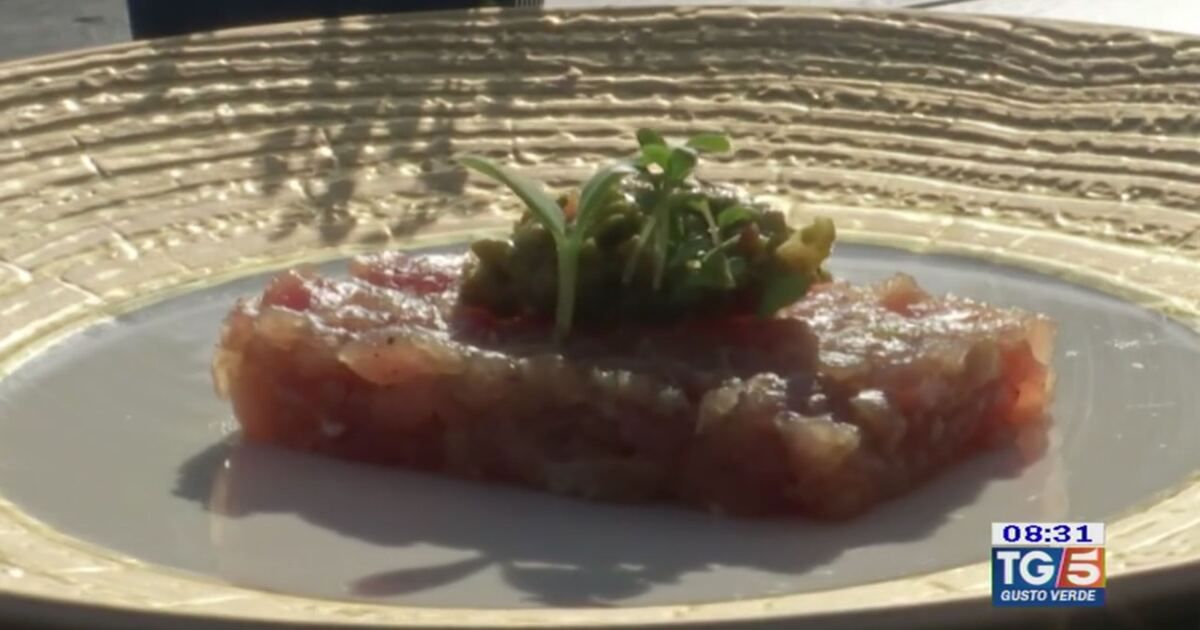 TG5: Gusto Verde: tartare di tonno Video | Mediaset Infinity