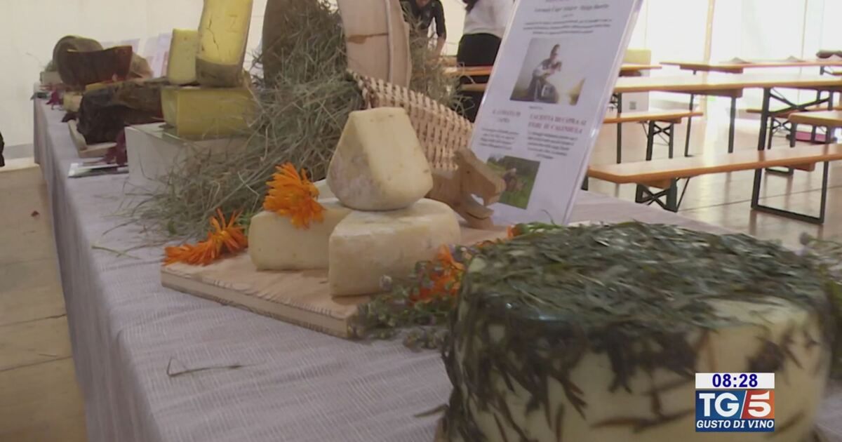 TG5: Gusto diVino: abbinamenti vini e formaggi Video | Mediaset Infinity