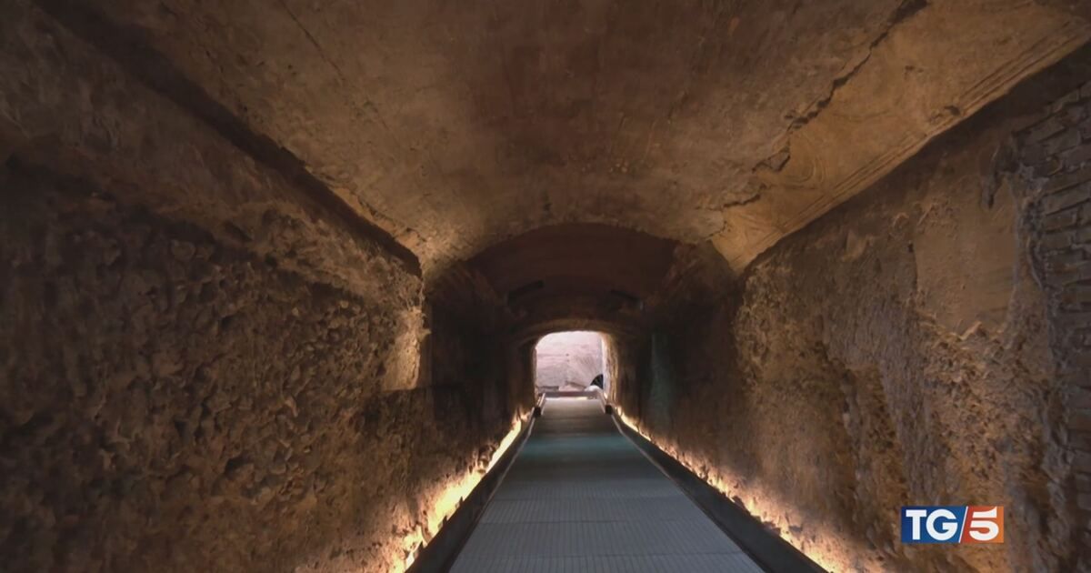 TG5: I tunnel del potere Video | Mediaset Infinity