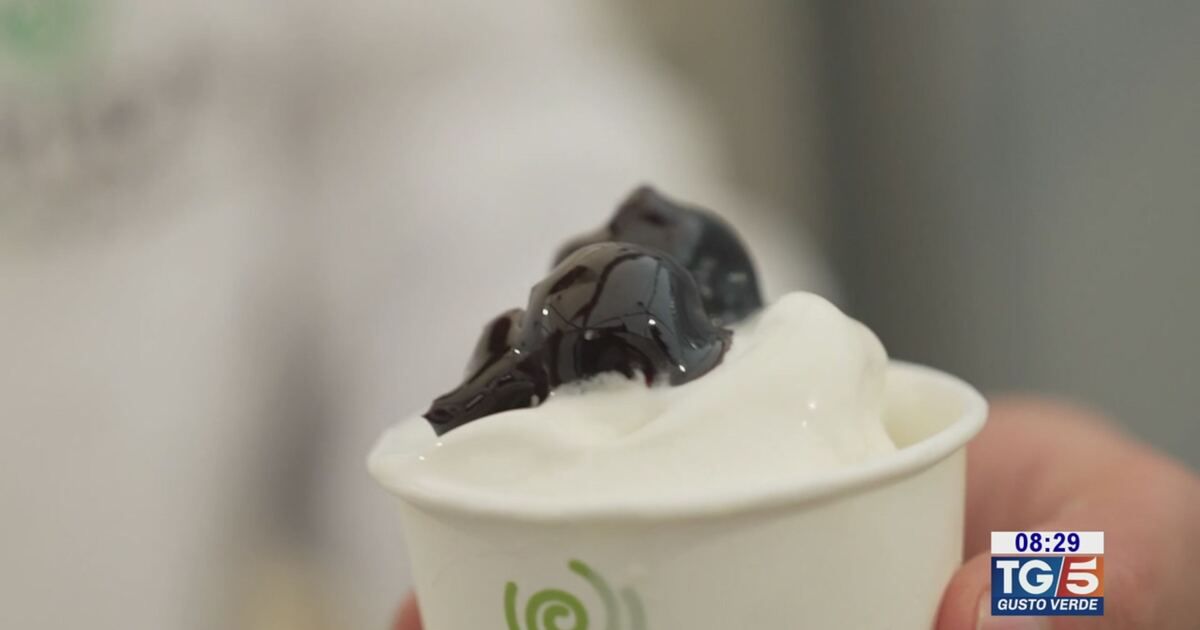 TG5: Gusto Verde: il festival del gelato Video | Mediaset Infinity