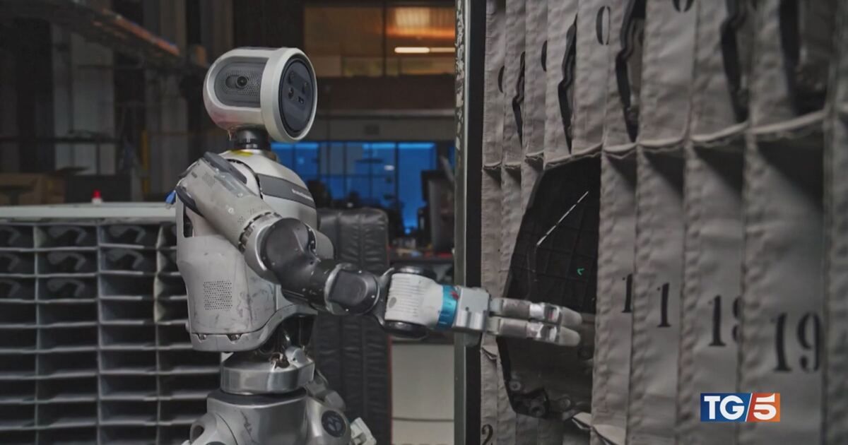 TG5: Ruota, Tu si que vales e Speciale Tg5 Robot Video | Mediaset Infinity