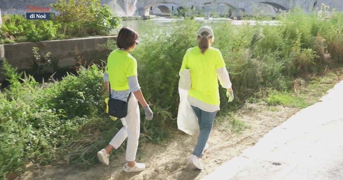 L'arca di Noè: Puliamo il mondo! Video | Mediaset Infinity