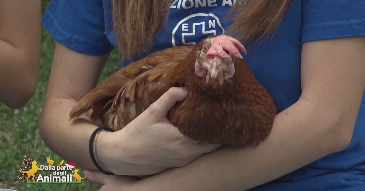 Dalla parte degli animali: Mimì e Cocò Video | Mediaset Infinity