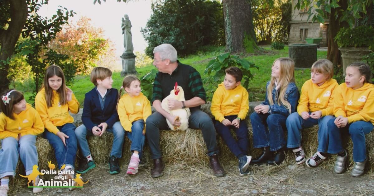 Dalla parte degli animali: Il gallo, un animale da compagnia molto ...
