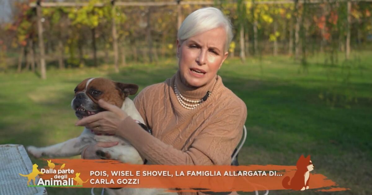 Dalla parte degli animali: Pois, Wisel e Shovel, la famiglia allargata ...
