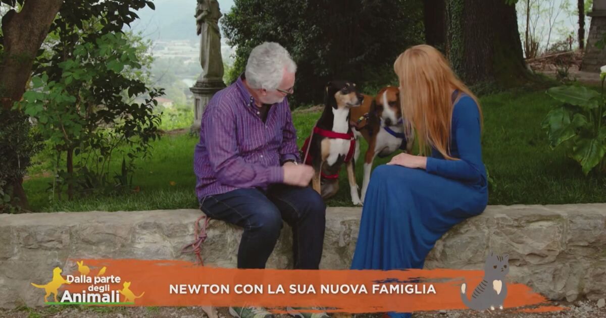 Dalla parte degli animali: Newton e la sua nuova famiglia Video ...