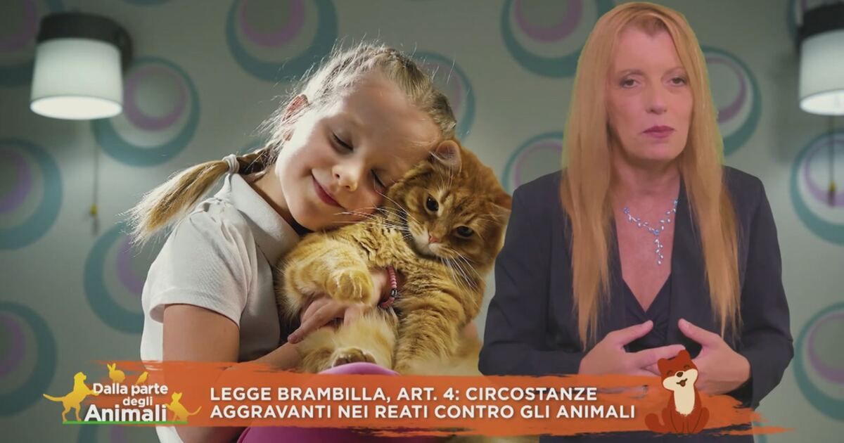 Dalla parte degli animali: Dentro la legge Brambilla Video | Mediaset ...
