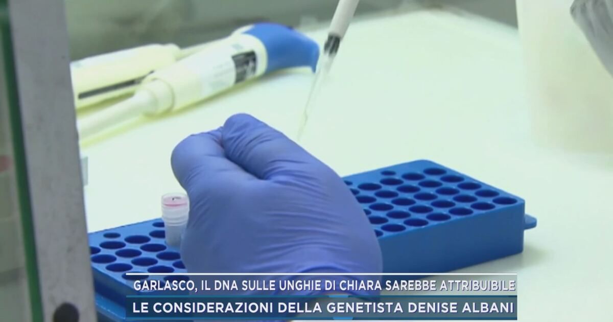 Mattino Cinque: Garlasco, il dna sulle unghie di Chiara sarebbe ...
