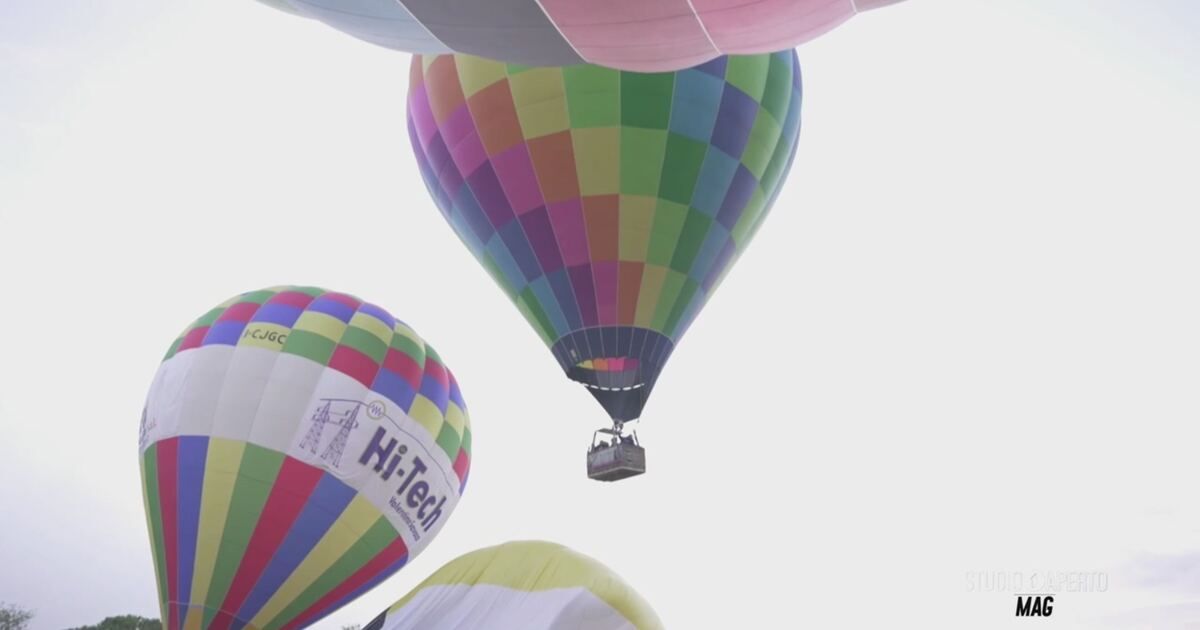 Studio Aperto MAG: Mercoledì 14 gennaio Video | Mediaset Infinity