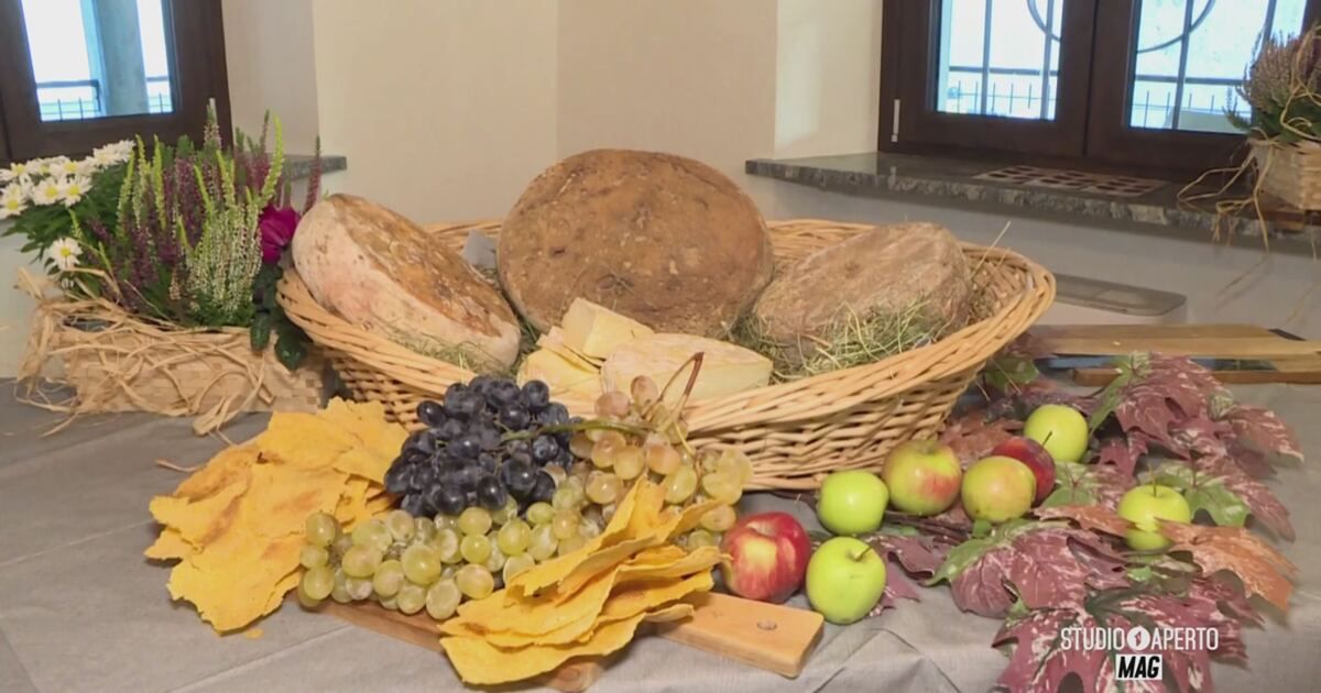 Studio Aperto MAG: Un bar dove degustare prodotti tipici Video ...
