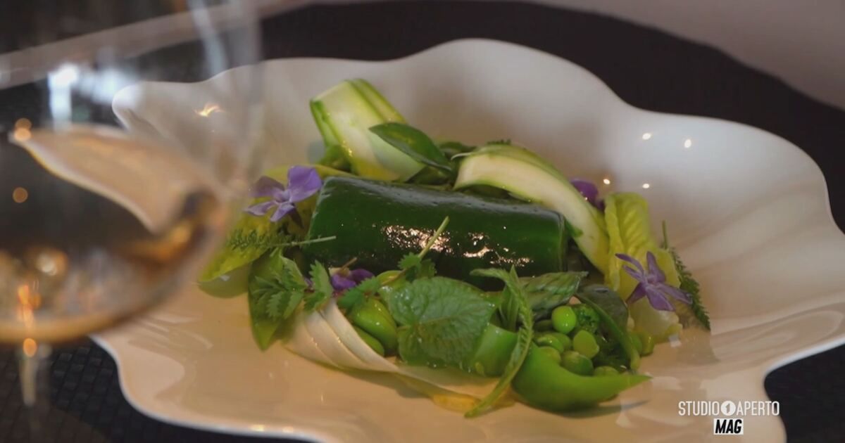 Studio Aperto MAG: Cucina fine-dining ed erbe spontanee Video ...