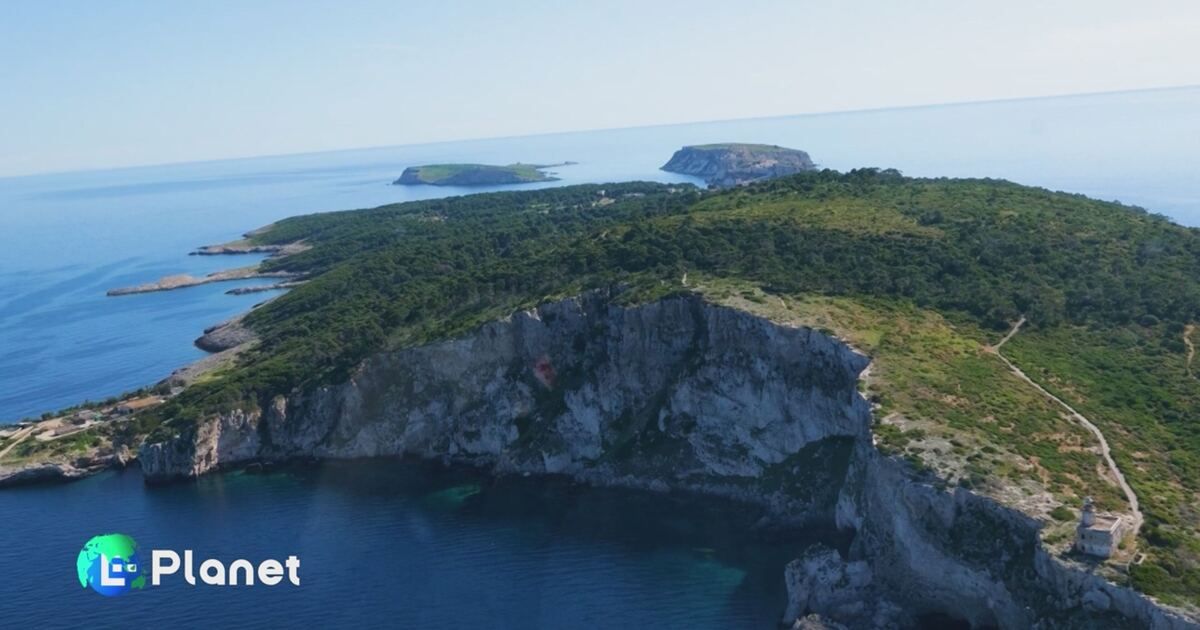E-Planet: Tremiti: in equilibrio sul mare Video | Mediaset Infinity