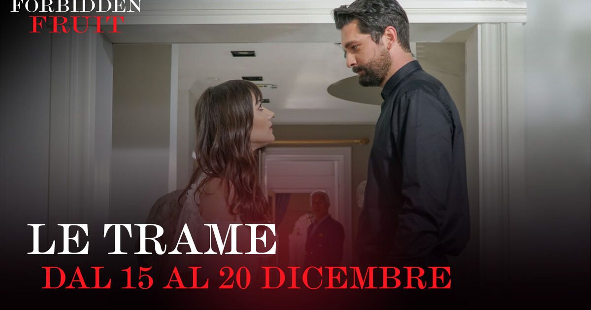 Forbidden Fruit: Le trame dal 15 al 19 dicembre Video | Mediaset Infinity