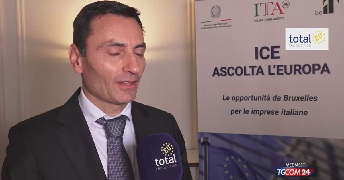 Tgcom24: Mercosur, Paganini (ICE Bruxelles): "Clausole di salvaguardia ...