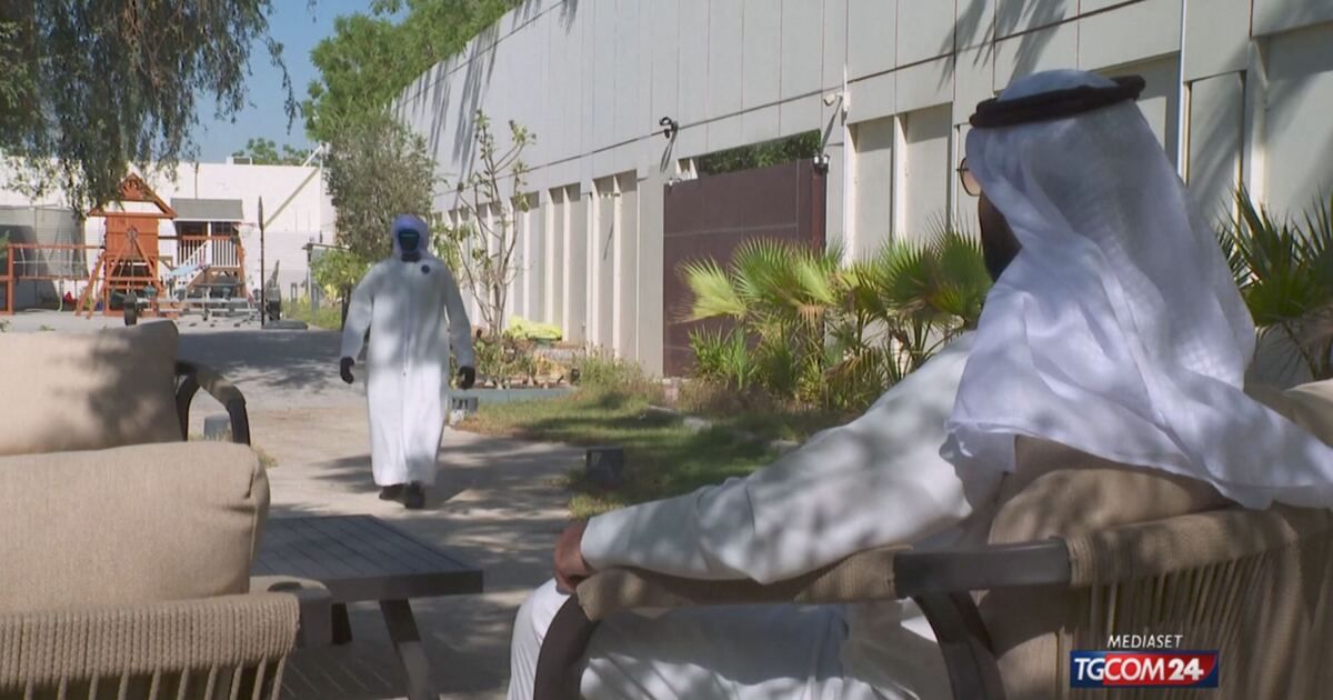 Tgcom24: Dubai, un robot entra in moschea e prega: è polemica Video ...